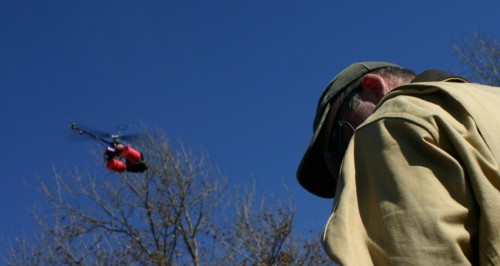 Drones for Hunting? - Big Deer