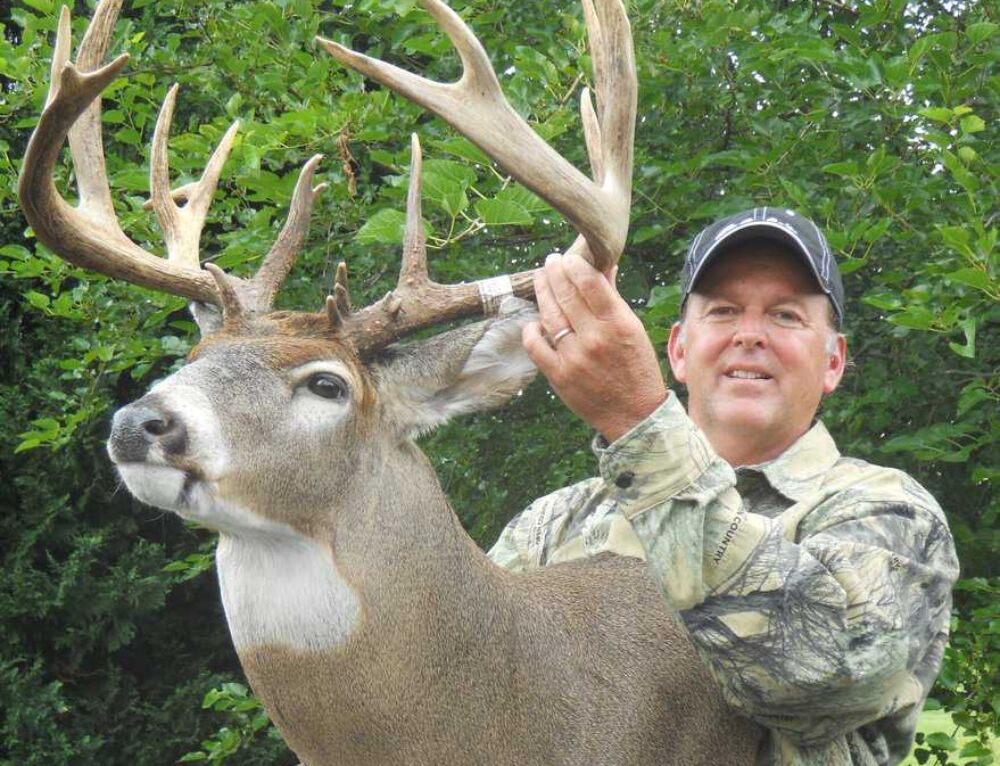 The Color of Deer Antlers - Big Deer