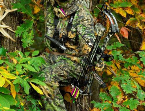 Deer Food Plots: When, How to Mow Clover - Big Deer