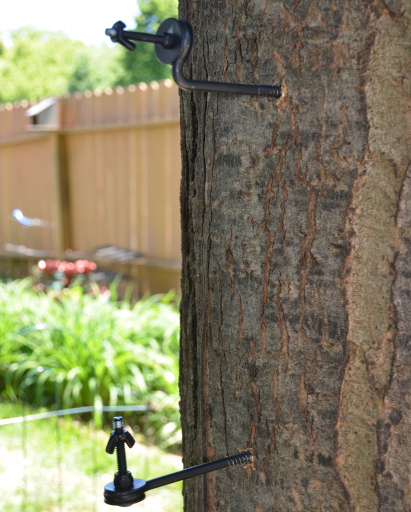 DIY Deer: Cheap, Easy Trail-Camera Fasteners - Big Deer