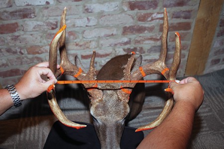 How to Judge and Measure A Whitetail Buck Rack - Big Deer
