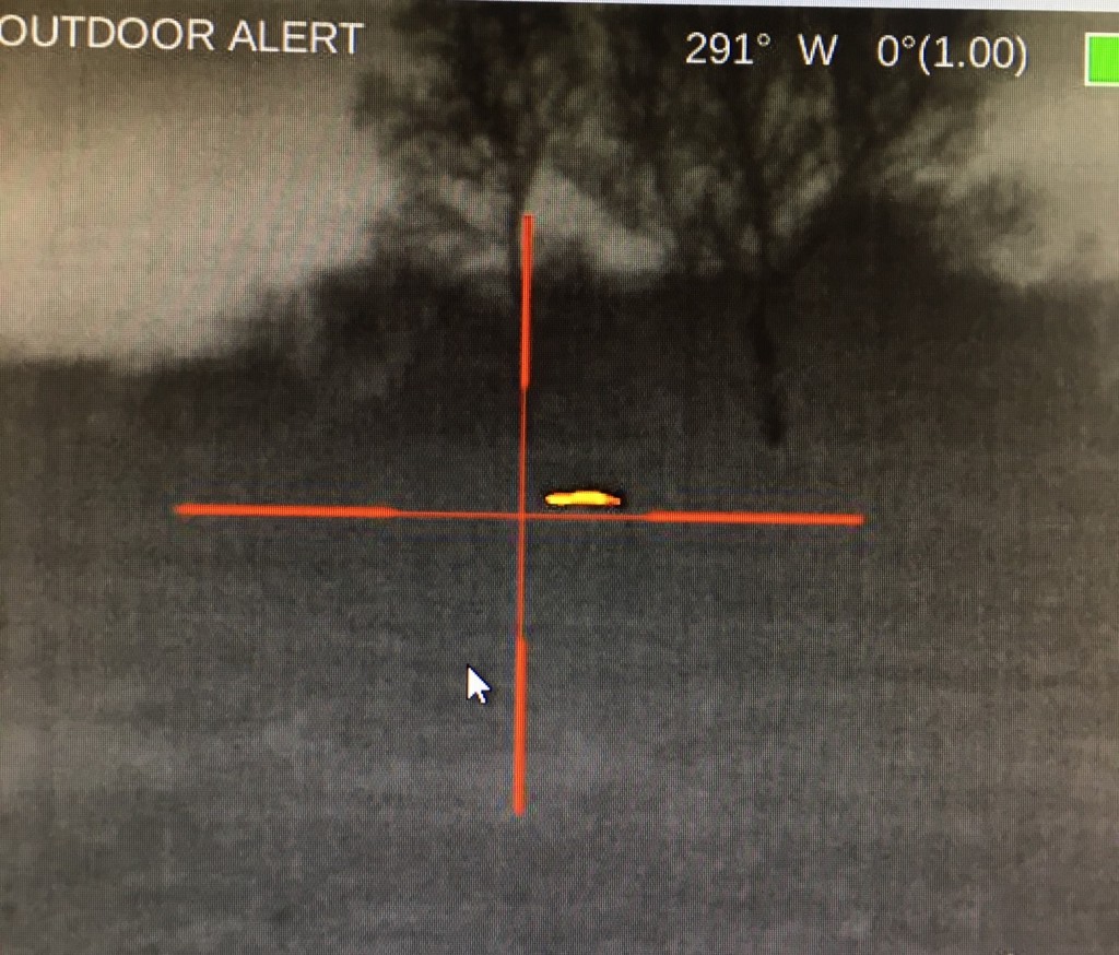 Use Trail Cameras For Predator Hunting - Big Deer