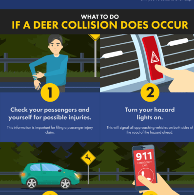 8 Things To Do If You Hit A Deer With Your Car - Big Deer
