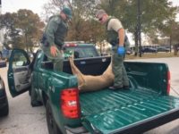 Update: Should You Eat a Deer with CWD? - Big Deer