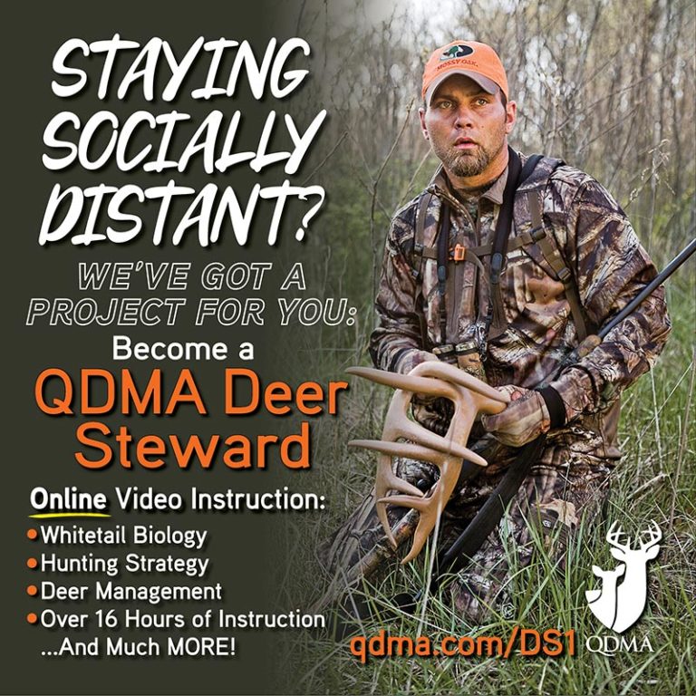 Take QDMA’s Online Deer Course Now, Hunt Better Than Ever This Fall ...