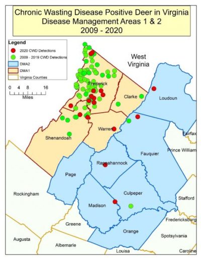 Virginia Reports 20 New Deer Infected With CWD - Big Deer