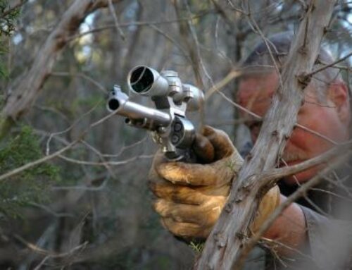 The Best Handguns For Deer Hunting - Big Deer