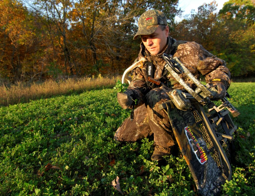 How to Plant Tiny Food Plots for Bowhunting - Big Deer