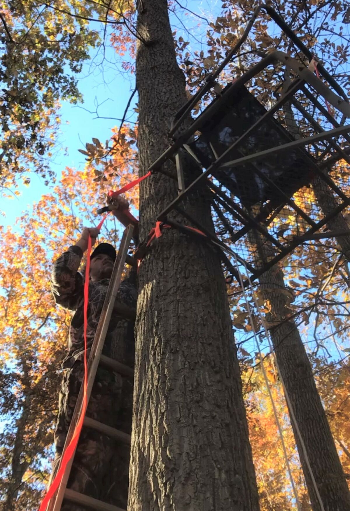 Pre-Season Tree Stand Safety Check - Big Deer