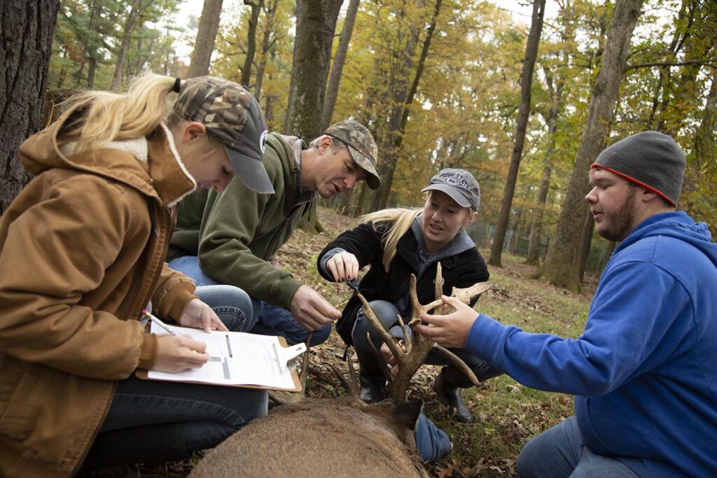 5 Deer Facts That Will Help You Tag a Buck - Big Deer