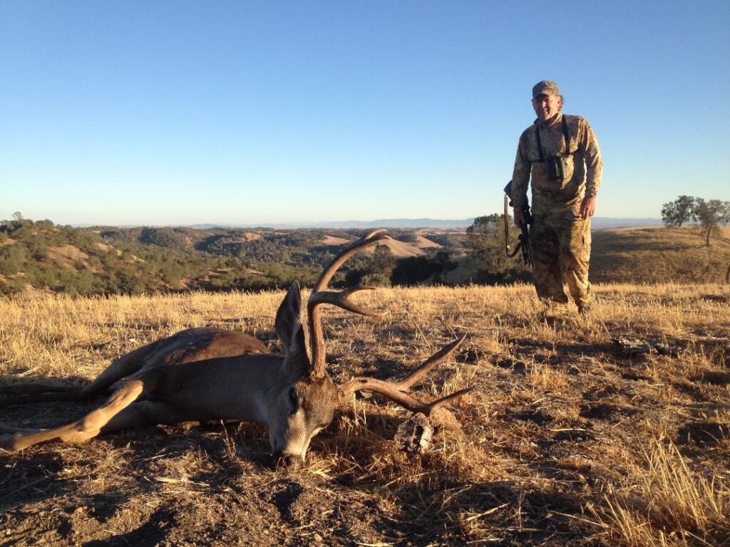 How to Approach a Dead Deer - Big Deer