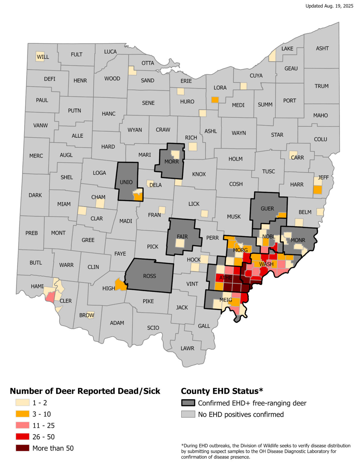 2025 Outbreak of EHD Killing Deer in Ohio - Big Deer