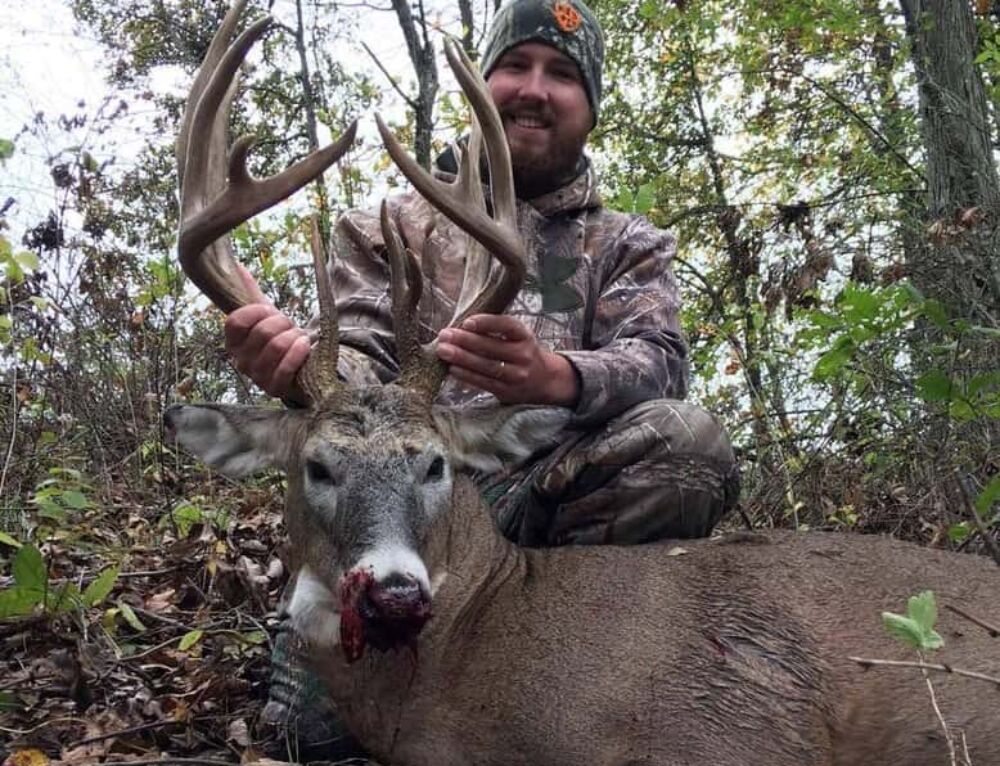 What Determines a Buck's Antler Color? - Big Deer